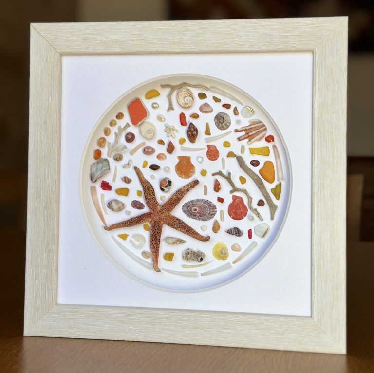 Arte marino y hallazgos del Mediterráneo | Litoralart